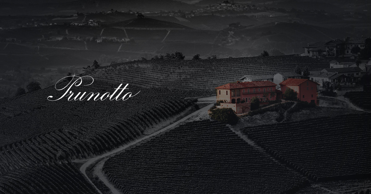Home | Prunotto | Oltre un secolo nelle Langhe | Prunotto